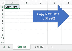 Copy new data with VBA | Spreadsheets Made Easy